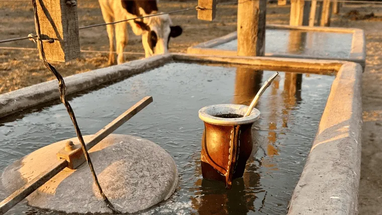 Las heladas se sienten con fuerza: ¿cómo se producen y cuántos tipos hay?